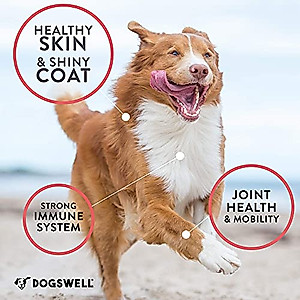 DOGSWELL Wild Alaskan Salmon Oil - Omega 3 Supplement for Dogs