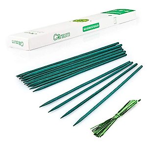 Garsum Green Bamboo Sticks Garden Wood Plant Stakes,Floral Plant Support Wooden,Wooden Sign Posting Garden Sticks,12 Inches 25 Pack