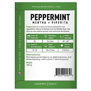 Peppermint Seeds for Planting is A Heirloom, Open-Pollinated, Non-GMO Herb Variety- Great for Indoor and Outdoor Gardening and Herbal Tea Gardens by Gardeners Basics