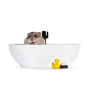 (12lb Bag) Hamster or Gerbil Bathing Sand Litter- All Natural Dry Desert Sand