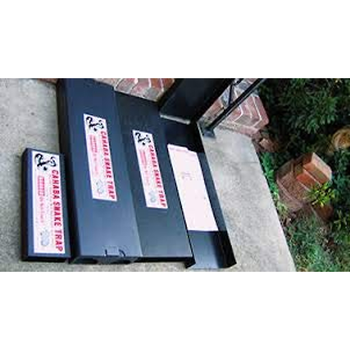 Snake Trap Large, (Foldable, Reusable 32"x10"x 3") with (1) Catch Insert, Commercial Grade, Made of Strong Corrugated Plastic in Alabama, USA