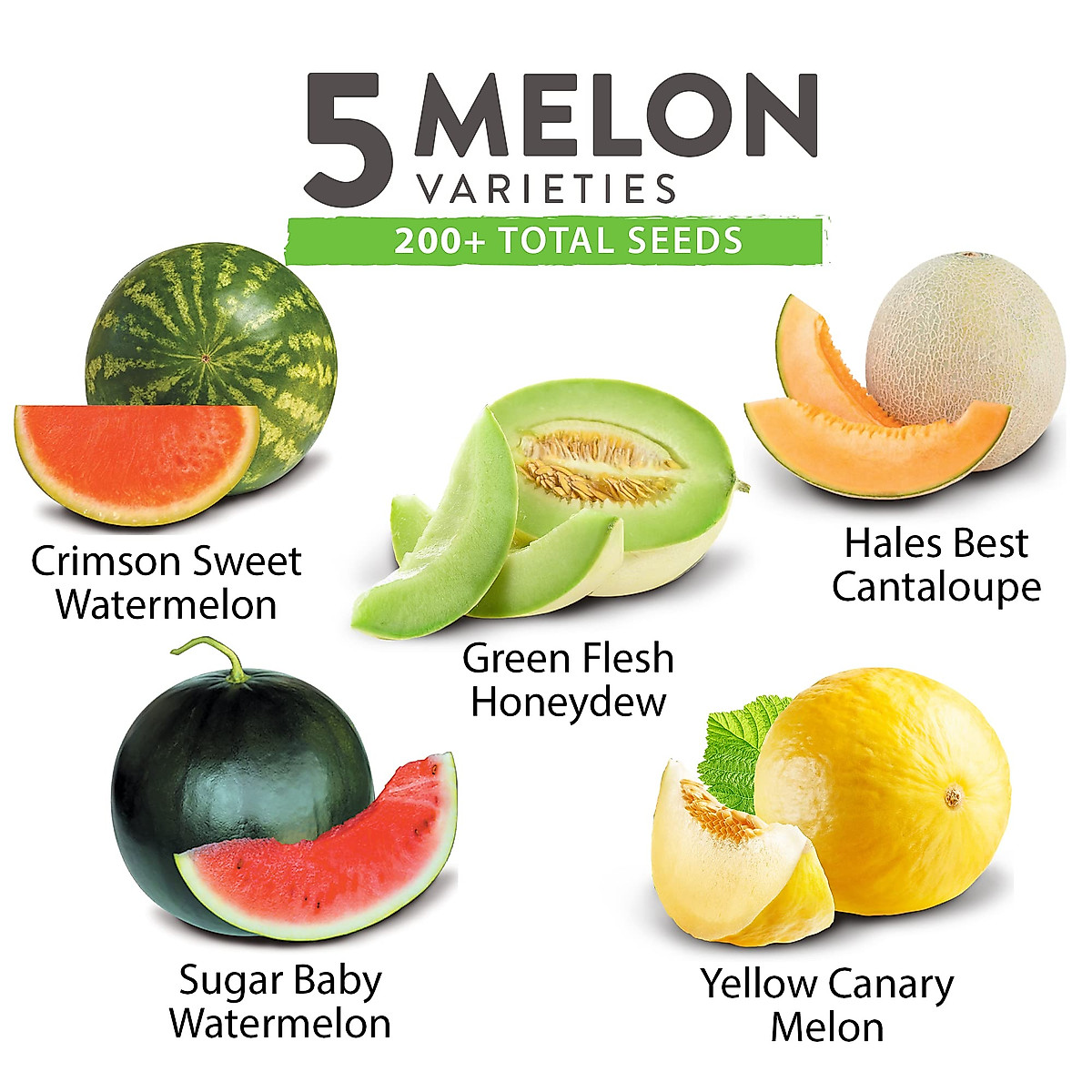 HOME GROWN 5 Melon Fruit Seeds Variety Pack - Watermelon Seeds, Melon Seeds, Cantaloupe, Sugar Baby Watermelon, Honeydew Fruit Seeds for Planting Home Garden - Non GMO Heirloom Seeds for Planting