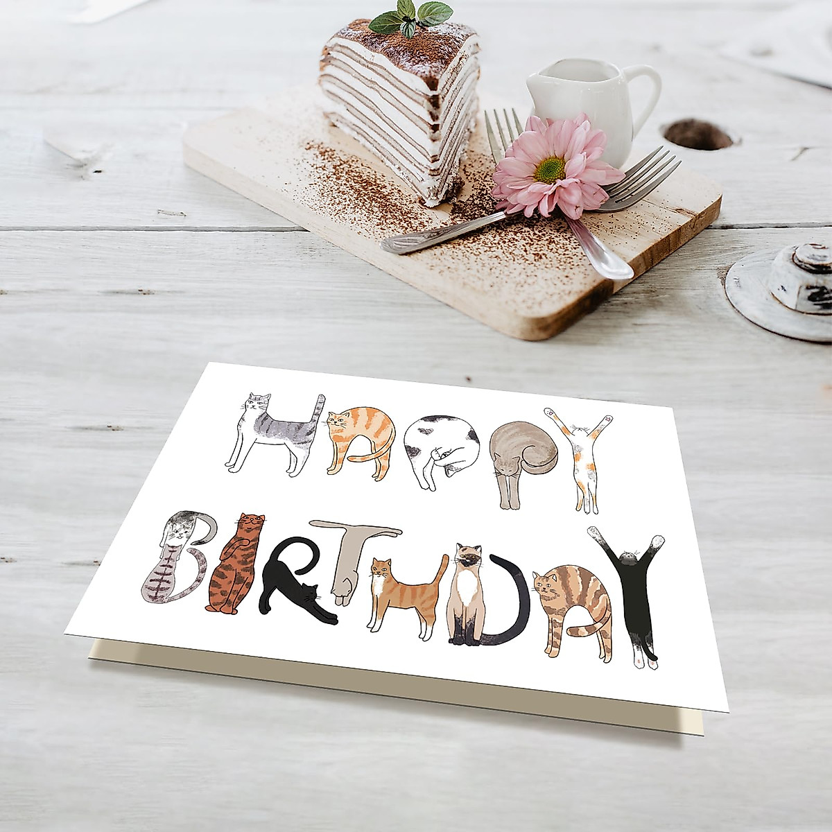 Bhiosng Happy Birthday Card for Cat Lover, Funny Cats Birthday Cards for Men Women, Cute Cat Owner Birthday Gift From Cat, Humor Cat Birthday Gift Card For Dad Mom Brother Sister Cat Lover