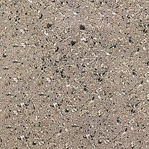 Rust-Oleum 7995830 Stone Creations Spray, 12 oz, Pebble