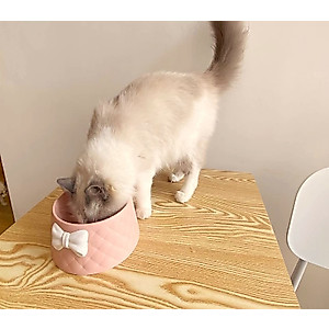 Kattypet Katty Pet Cheap Affordable Bowl with Bow Cat Food Bowls Base Dog Bowl, Pet Feeding Station Base Bowl of Premium Quality Pets Bowl for Mini Small Medium Puppy