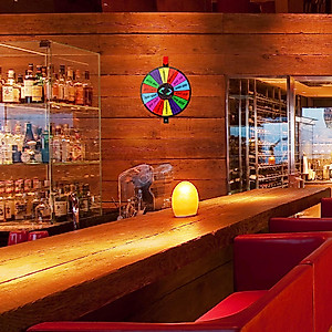 WinSpin 12" Color Prize Wheel Tabletop 14 Slots Heavy Duty Editable Spinning Wheel for Fortune Spinning Game Carnival & Tradeshow, Classic Series