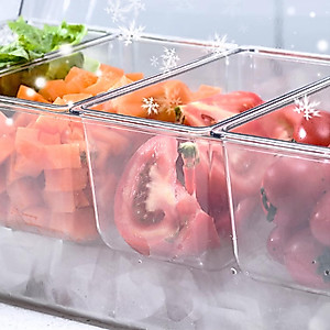 TRBIDRBO Ice Chilled Caddy with 5 Containers and Lid - Chilled Condiment Server for Fruit, Snack, Sauce Garnish Tray - 2.4cup Each Dishes