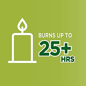 Coleman Scented Tin Citronella Candle - 3 Pack, S'Mores, Pine and Campfire