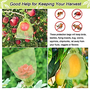 100pcs Fruit Protection Bags 6x9 inch, Green Netting Cover Bags Drawstring Mesh Fruit Protectors Pest Barrier for Mangoes Tomatoes Fruit Trees Veggies Garden