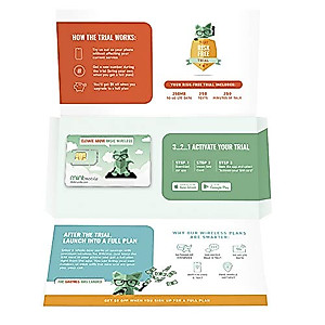 Mint Mobile See for Yourself Kit | Verify Compatibility with Our Talk, Text & Data Plans (3-in-1 GSM SIM Card)