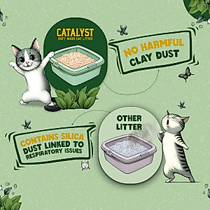 Catalyst Natural Soft Wood Cat Litter (2 Pack, 10lb Bags) - Superior Odor Control, Strong Clumping, Low Dust, and Biodegradable (10lb, Set of 2, Healthy Cat)