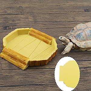 Micro Traders Reptile Water Bowl Resin Food Dish Bearded Dragon Feeding Tray for Chameleon Turtle Lizard Gecko Spider Amphibian Supplies 14.7x14x2cm