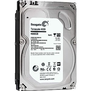 Seagate 4 TB Terascale HDD SATA 6Gb/s 64MB Cache 3.5-Inch Internal Bare Drive (ST4000NC000) (Renewed)