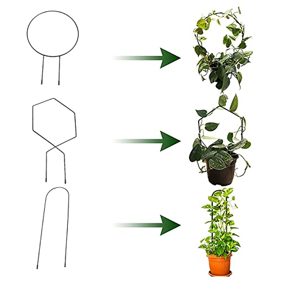 Metal Plants Climbing Trellis 3 Pack Wrought Iron Bonsai Plant Support Holder for Indoor Outdoor Garden Rose Flower Vine Metal Trellis