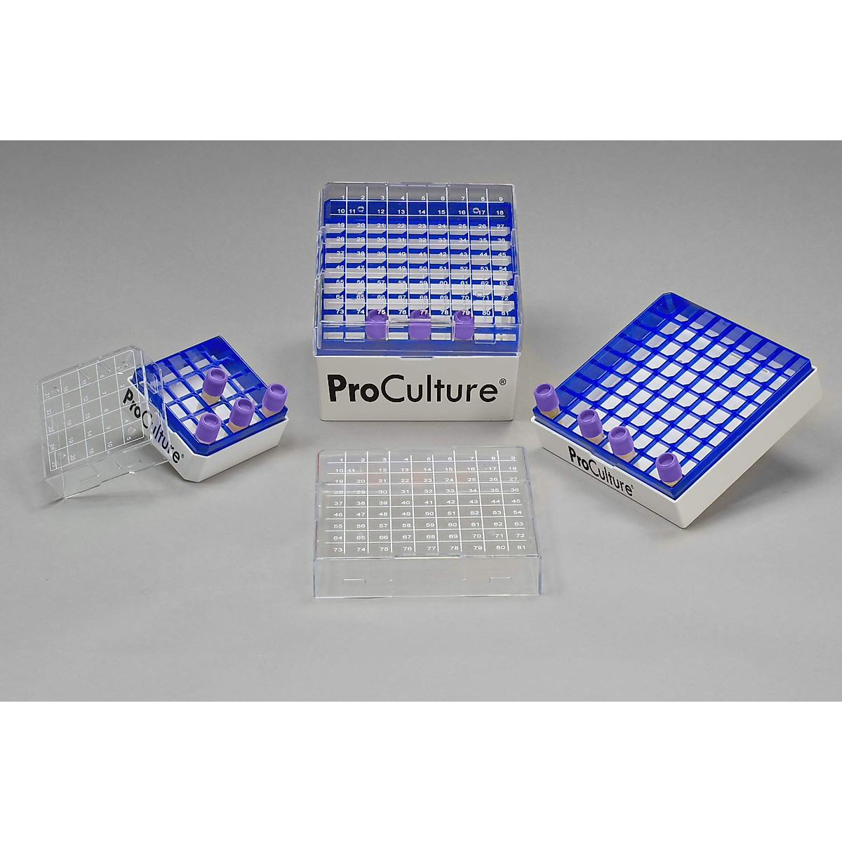 SP Bel-Art ProCulture Cryogenic Vial Storage Box; 25 Places, For 1.2-2.0ml Vials (Pack of 8) (F18849-0000)