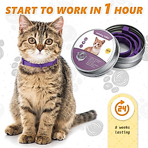 Qualirey 3 Pcs Cat Adjustable Calming Collar, Reduce Anxiety Cat Collars for Pets, Calm Collar Pacify Kitten, Suitable for Small, Medium and Large Cats, 15 Inches (Purple)