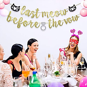 Last Meow Before the Vow Banner, Cat Lover Banner, Cat Themed Bachelorette Banner, Cat Hen Party Banner, Bridal Shower, Bachelorette,Engagement Party Decor