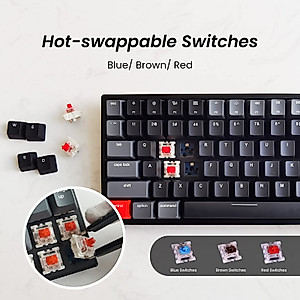 Vissles Wireless Bluetooth/USB Wired Mechanical Keyboard Hot Swappable Mechanical Gaming Keyboard Programmable Compact 84 Keys Tenkeyless RGB Dynamic Backlit for Mac Windows, Gateron Red Switch