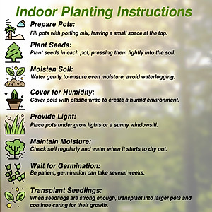 Dwarf Cherry Tree Seeds Fragrant Flowers Attract Pollinators Ideal for Home Gardens, Smaller Spaces Juicy Cherry Fruit Perfect for Snacking 10Pcs by YEGAOL Garden