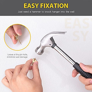 Picture Hanging Nails, Hommie Picture Hangers with10-60 lbs 50PCS Picture Hangers Hardware kit One Step Picture Hangers Nails for Drywall, Picture Frame, Canvas, Mirror Hanging Decoration