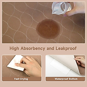 Paw Legend Washable Reusable Dog Pee Pads Super Absorbent (2 Pack) - Washable Reusable Puppy Training Pads | Quality Travel Pee Pads for Dogs | Absorbent and Odor Controlling