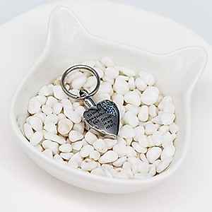 Vjajaly Cremation Jewelry for Ashes No Longer by My Side But Forever in My Heart Stainless Steel Pet Paw Keepsake Pendant Memorial Urn Keychain for Men Women (Blue)