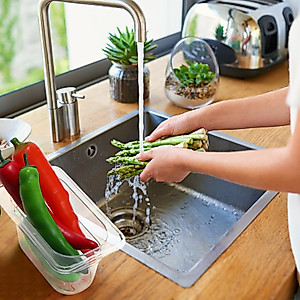 Sunnyray 6 Set 1/9 Size Polycarbonate Food Pans with Lids and Drain Shelf Deep Square Food Storage Containers for Kitchen Restaurant Fruit Vegetable Storage