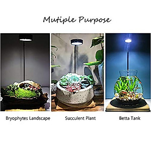 Hiro Aquatics Full Spectrum LED Light with Bamboo Board, Fits Aquarium Nano Tank, Betta Fish Tank, Potted Plants, Succulents, Miniature Landscape – 9W