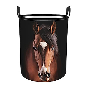 FeHuew Handsome Brown Horse Collapsible Laundry Basket with Handle Waterproof Hamper Storage Organizer Large Bins for Dirty Clothes,toys