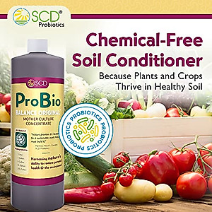 ProBio Balance Original - Make 20X More Farm and Garden Soil Conditioner - Super Concentrate Of Effective Beneficial Microorganisms - OMRI-Listed For Organic Crops, Organic Garden Soil - Made In USA, 1 Liter – by SCD Probiotics