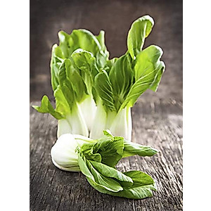Gaea's Blessing Seeds - Bok Choy Seeds (2.0g) Canton Pak Choi Chinese Cabbage Non-GMO Seeds with Easy to Follow Planting Instructions - Heirloom 90% Germination Rate