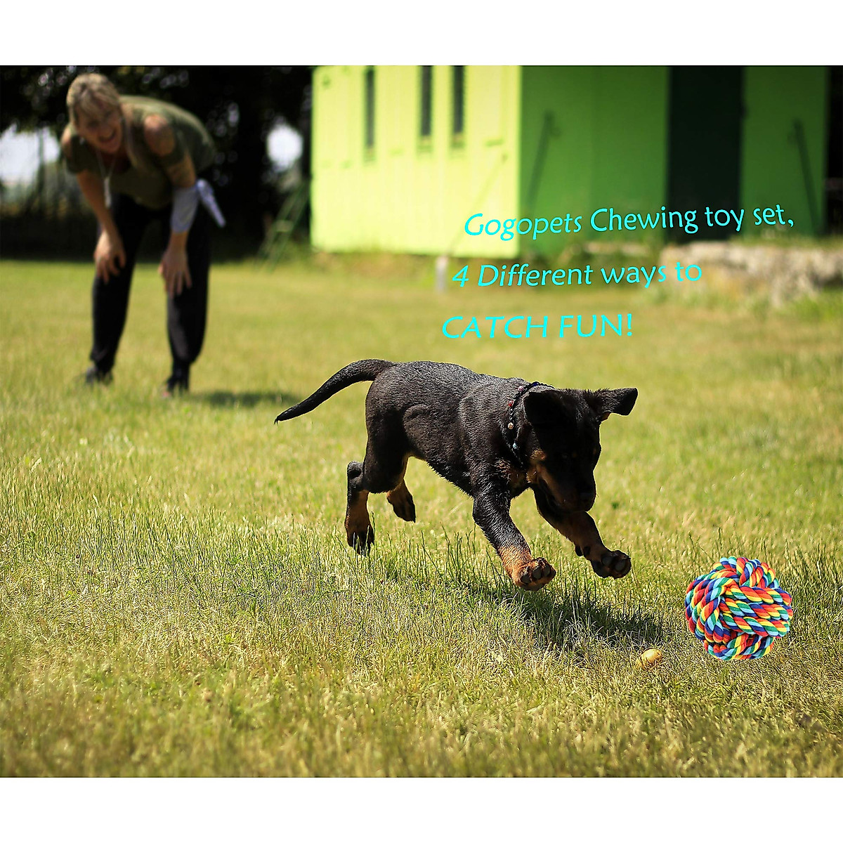 GOGOPETS Dog Chew Toys Rope - Colorful Rope Puppy Chew Toys Washable Cotton Rope Toys Set for Small Dog Puppy Pet（4 Packs/Set）