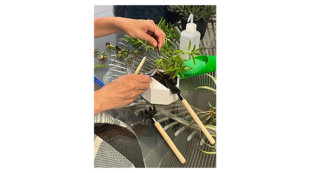 Succulent Kit Roll Organizer for Indoor Gardening | Complete Tool Set