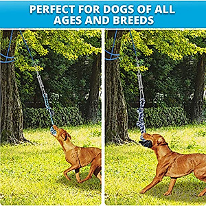 Spring Pole Dog Rope Toys: Dog Rope Pull & Tug of War Toy with a Big Spring Pole Kit & 2 Strong Dog Rope Toys & 16ft Rope - Muscle Builder Interactive Dog Toy for Pitbull Medium to Large Dog