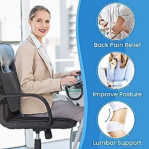 LumbarPal Lumbar Support Pillow for Office Chair Back Support Lumbar Pillow for Car, Gaming, Office Chair - Improve Sitting Posture & Back Pain Relief, Memory Foam, Adjustable Straps, Grey