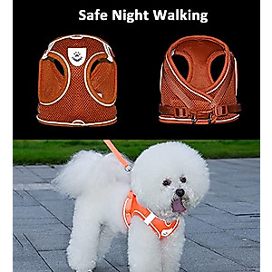 Dog Harness and Leash Set for Walking, Escape Proof Vest Harness with Soft Mesh, Adjustable Velcro, Reflective Strips for Kitten Cats and Puppy Dogs