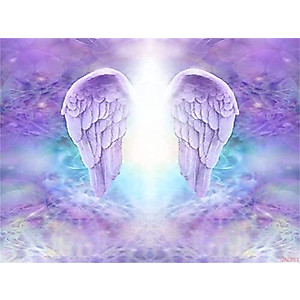 QAZWSX Angel Wings Diamond Painting Kits, Dreamlike Feather Fairy Tales Diamond Art for Adults Kids Full Round Drill Kit Crystal Pictures for Home Wall Decor Christmas Gifts 12x16 inch /30x40 cm