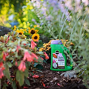 Miracle-Gro 2.04kg Shake n Feed Ultra Bloom Plant Fertilizer