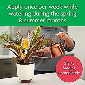 Miracle-Gro Tropical Houseplant Food - Liquid Fertilizer for Tropical Houseplants, 8 fl. oz.