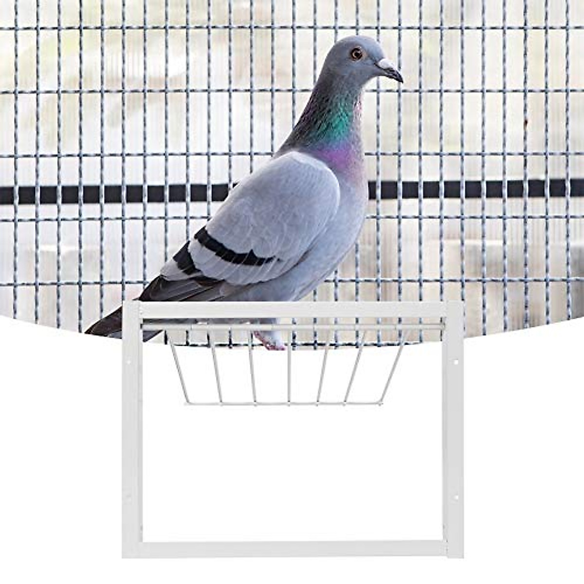 KSTE Iron Birdcage House Door High Strength for Pigeon Parrot Easy Installation(30x26cm)