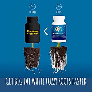 FOOP Clone Gel - Two Products in One: Rooting Gel + Cloning Solution - Get Big Fat White Fuzzy Roots Faster and Make Cloning Simple | Works Great in All Cloning Media (4oz)