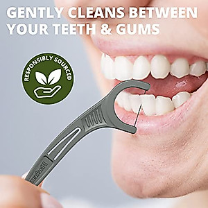 Plackers Ecochoice Activated Charcoal Recycled Dental Flossers, 90 Count (Pack of 1)