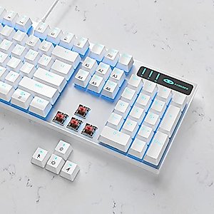 MageGee Mechanical Gaming Keyboard, Wired USB Adjustable Backlight Keyboard, New Mechanical Storm 100% Anti-ghosting Keyboard with Red Switches for Windows PC/MAC Games (White)
