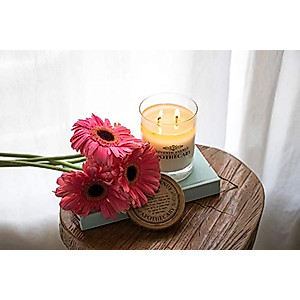 Apothecary Glass Jar Double Wick 14 Ounce Aromatherapy Soy Candle (Tobacco & Vanilla Bourbon)