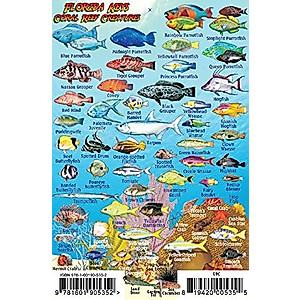 Florida Keys Reef Creatures Guide Franko Maps Laminated Fish Card 4" x 6"