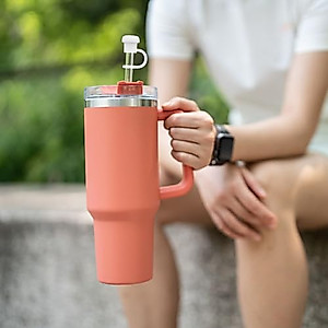 Alwenid 6PCS Straw Cover Cap for 6 to 10mm Straw of Stanley, Simple Modern, Yeti, Owala, Hydro Flask, Reduce, and All Brands Tumbler Straw, Dishwasher Safe, BPA Free and Dust Proof