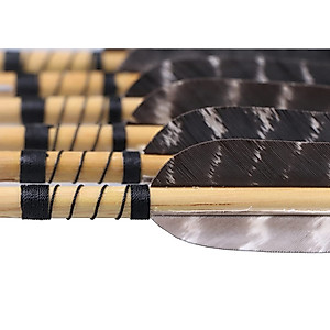 Huntingdoor Archery 31" Turkey Feather Fletching Wooden Arrows with Field Points for Hunting Shooting targeting Practice for Recurve Bow Longbow 6pcs