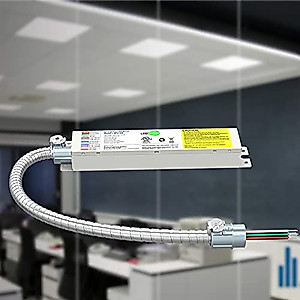 OSTEK 20W 150-200VDC LED Light Emergency Backup Battery, Rechargeable LED Emergency Driver for Dimmable 10-120W LED Light with External Driver, Emergency Time 90 Min (1 Pack)