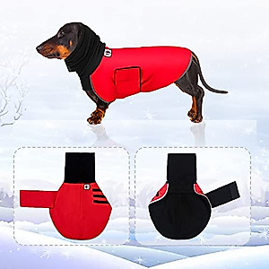 Dachshund Raincoat, Dachshund Clothes for Dog, Dachshund Coat, Dachshund Winter Coat, Dachshund Raincoat Waterproof, Coat Miniature Dachshund, Miniature Dachshund Raincoat for Small Dog (S, Red)