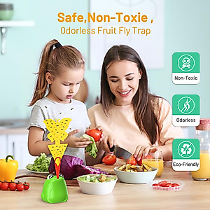 Fruit Fly Traps for Indoors and Outdoors:UWANTME Fruit Fly Killer with 12 Fruit Fly Sticky Traps, Easy to Use and Safe Food-Based Gnat Trap Reusable,2 Pack